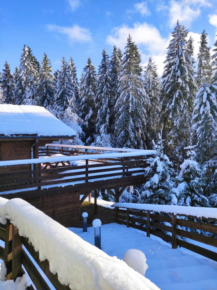 Le Refuge De Belbriette, Chalet Au Coeur De La Nature Avec Spa - Xonrupt-Longemer