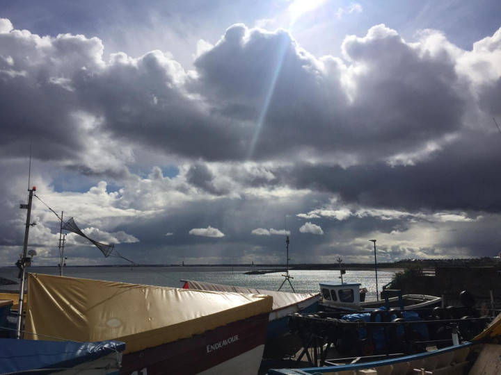 The Mules - Newbiggin-by-the-Sea