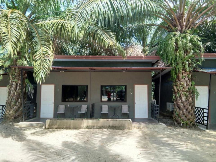Phang-nga Farm Stay - 
