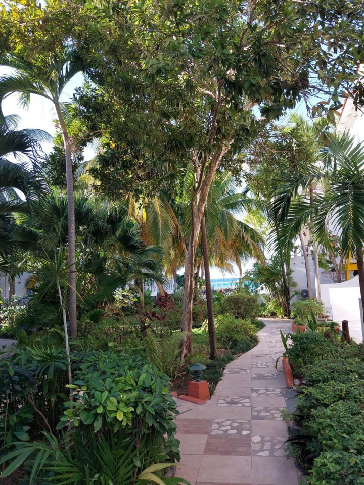 Cozy Villa Escape - Jamaica