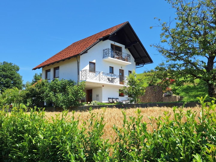 Vineyard Apartments Near Rajhenburg Castle - スロベニア