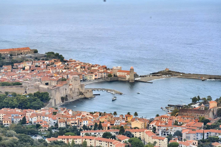 Appartement Collioure - Colliure