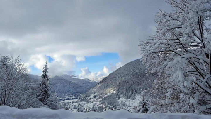 Gite De L'ours - La Bresse