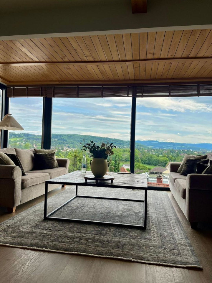 Luxurious Villa With Pool - Rheinfelden (Baden)