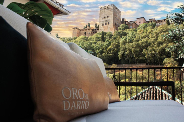 Bibo Suites Oro Del Darro - Grenade