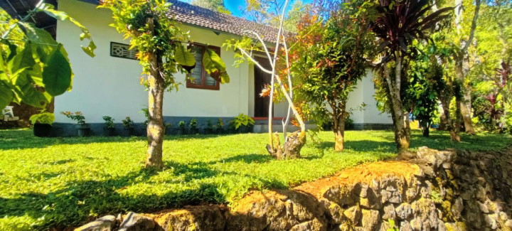 Verdant Vagamon Farm House - Kerala