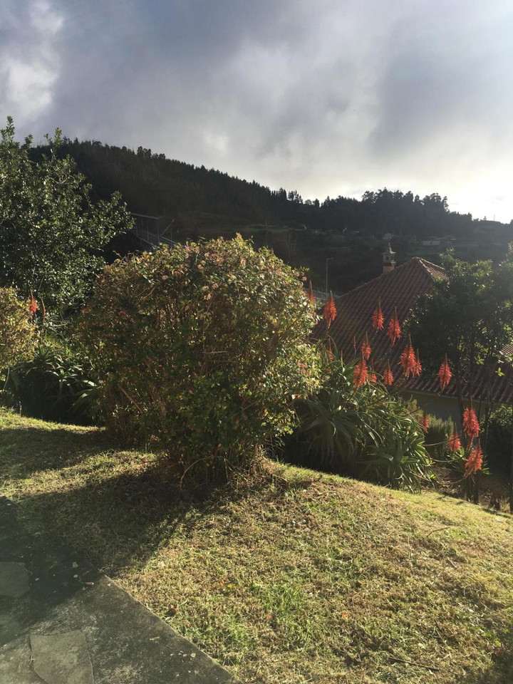 Bungalows Do Amparo - Portugal