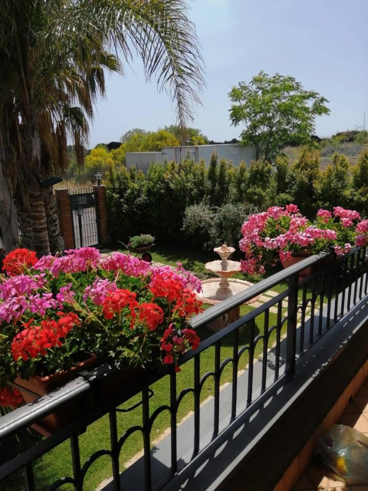 B&b Villa Salome' - Nicolosi