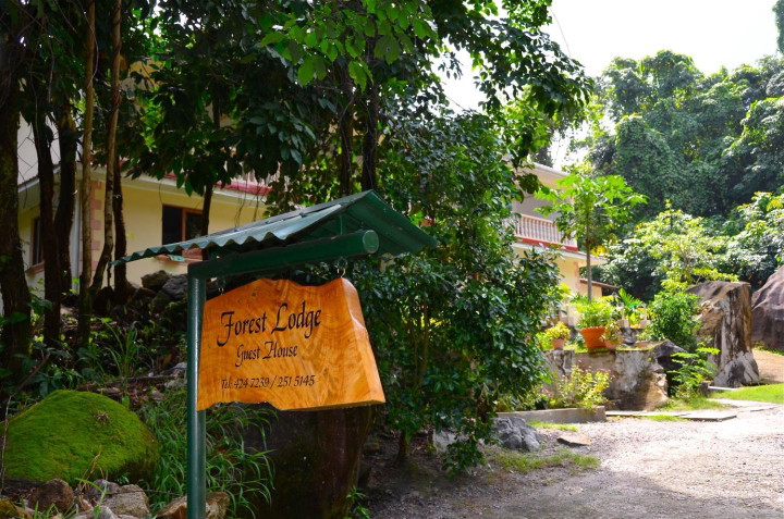 Forest Lodge - Seychelles