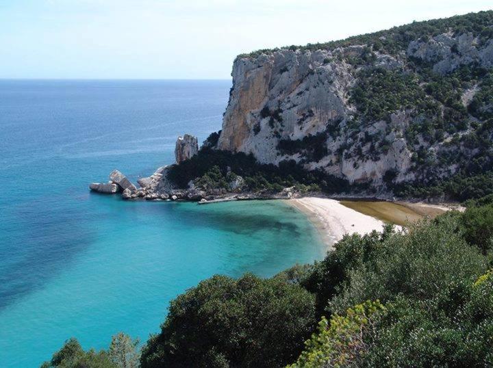 Apartment Altomare - Sardegna