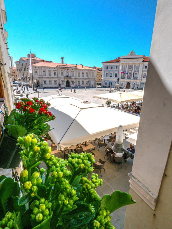 Artini Apartments Piran - Piran