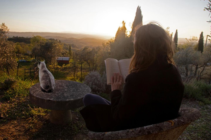 Agriturismo Il Castagnolino - San Gimignano