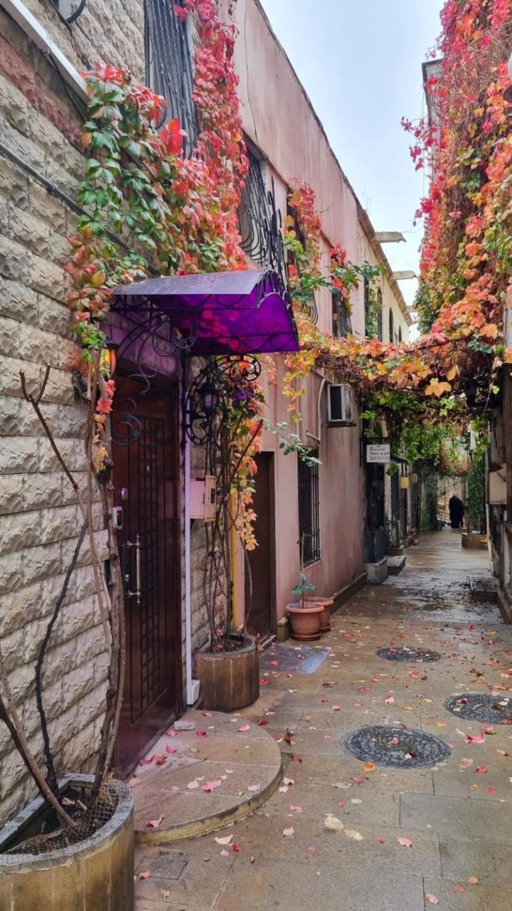 Retro Silent Boutique Hotel - Bakou