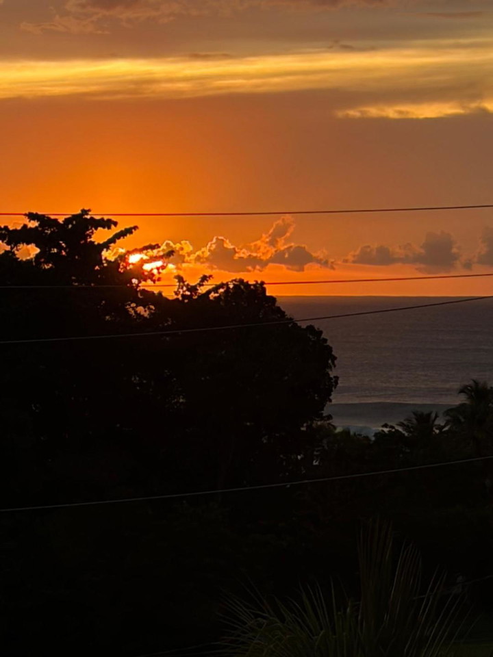 Tres Palmas Boutique Hotel - Rincón