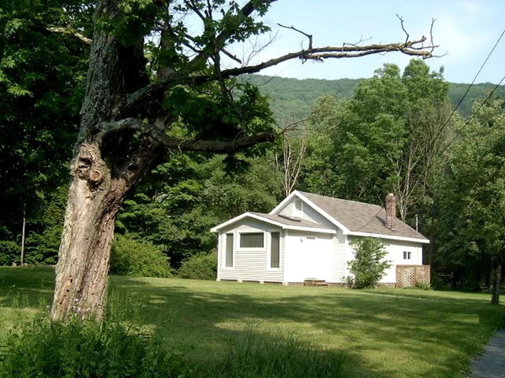 Lovely Cottage Getaway In The Mountains Near Phoenicia, New York - Phoenicia, NY