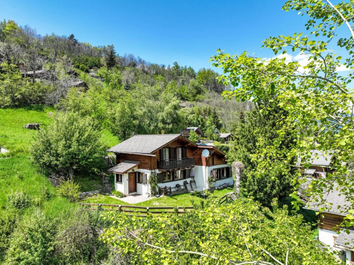 Chalet Le Raccard By Interhome - Sion