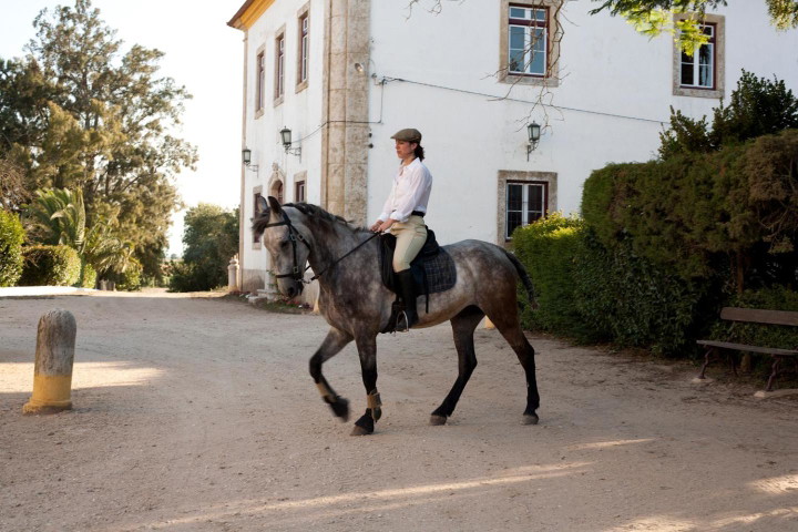 Quinta Dos ÁLamos Agroturismo - Alentejo