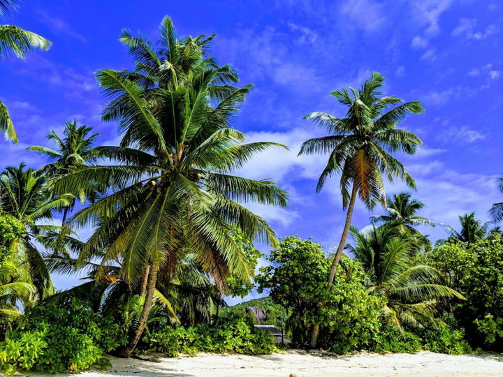 Chalets D'anse Forbans Selfcatering - Seychelles