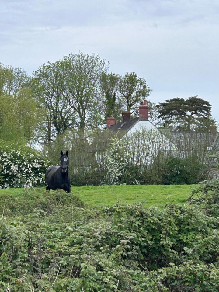 Quiet Farm House,double Room Private Bathroom Raglan - Abergavenny