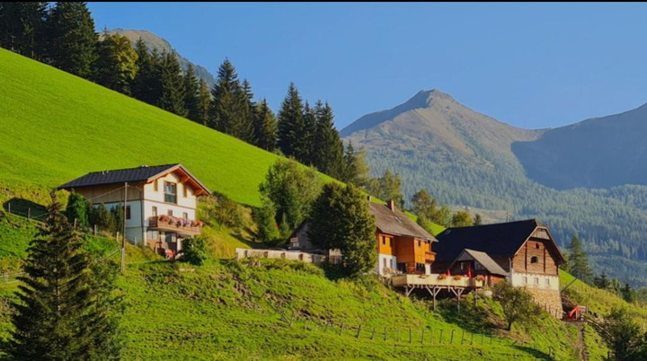 Chalet Leo - Autriche