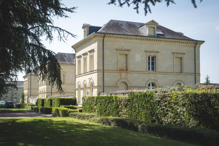 Domaine De Roiffé - Saumur