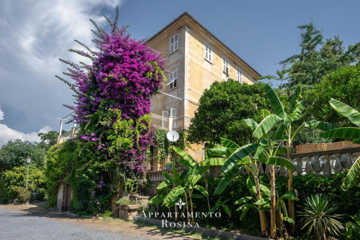 Appartamento Rosina - Imperia