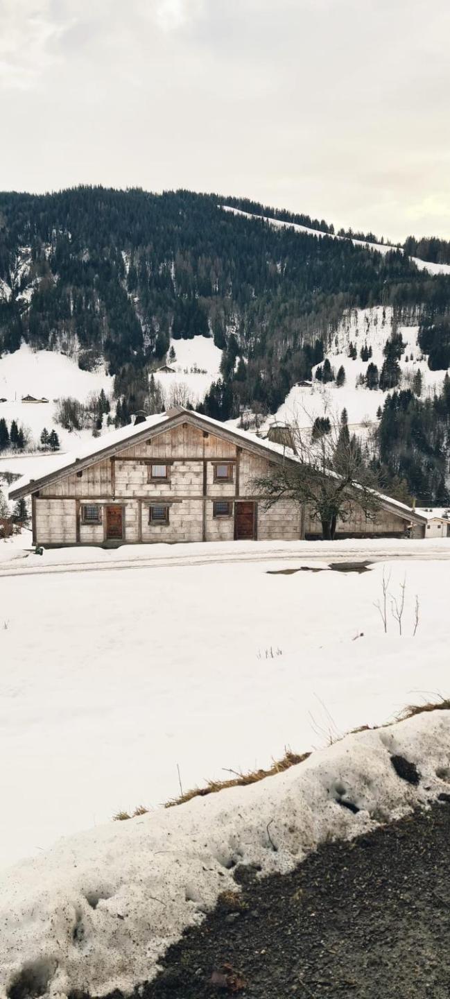 Chalet Dakota - Crest-Voland