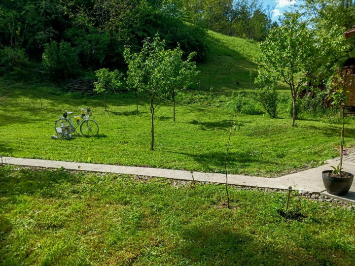 Camping Ciungani - Transylvania