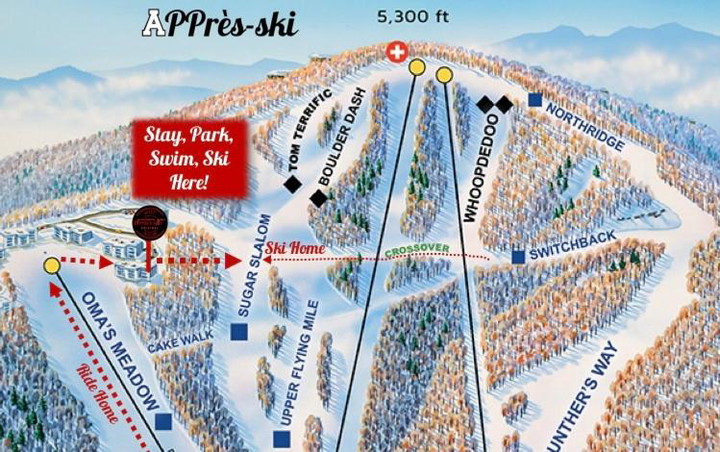 Appresski - 5 Bed Ski In Ski Out - 50 Steps To Ski Sugar Mountain Slopes - Banner Elk, NC