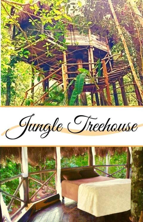 Exclusive Treehouse And Cenote - Sweet Jungle Dreams - Riviera Maya