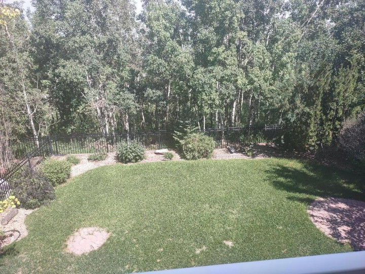 Spacious One Bedroom Walkout Basement Suite - Calgary