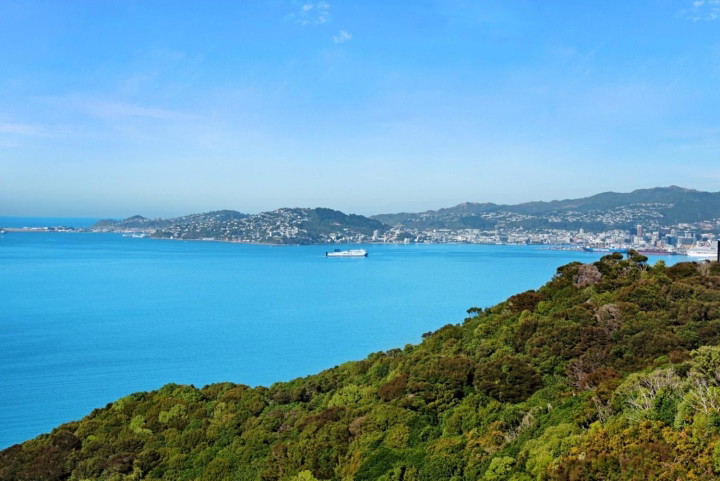 Million Dollar View - Wellington, New Zealand