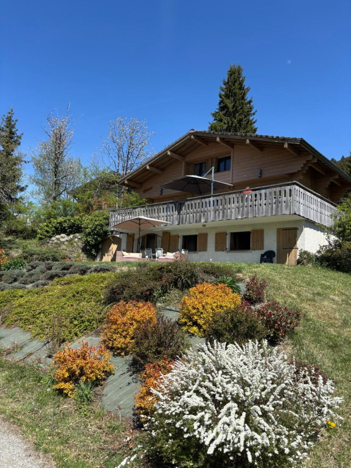 Chalet Les Marmottes - Le Chinaillon