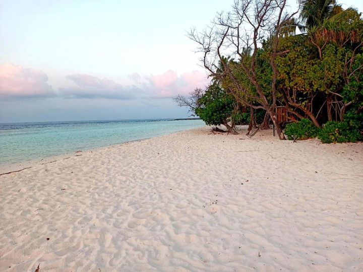 Dhoadhi Beach Maldives - Maldives