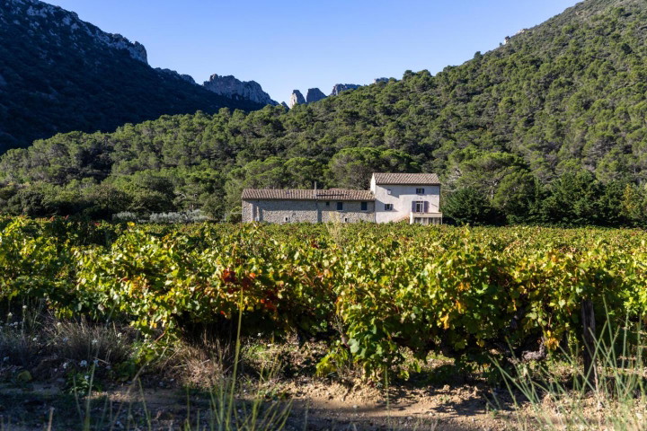 Domaine De Cassan - Beaumes-de-Venise