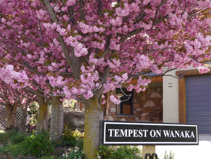Tempest On Wanaka - Wanaka
