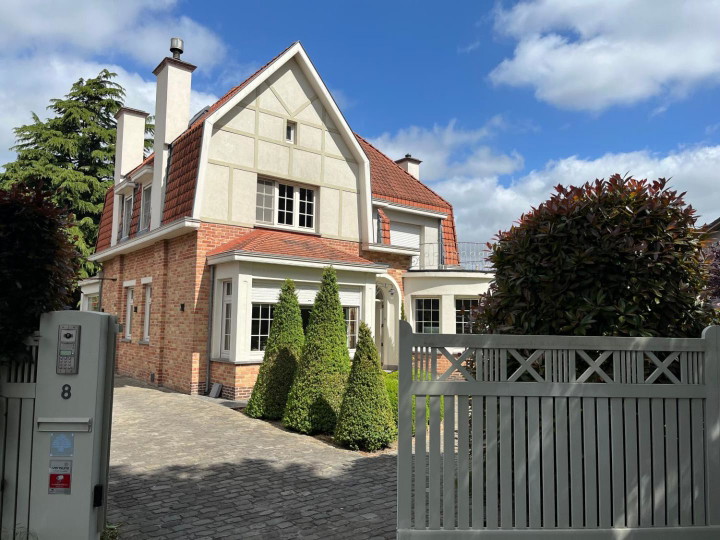 Bbcedrus - Blankenberge