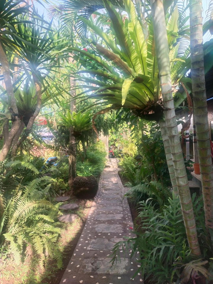 Comeback Guesthouse - Canggu