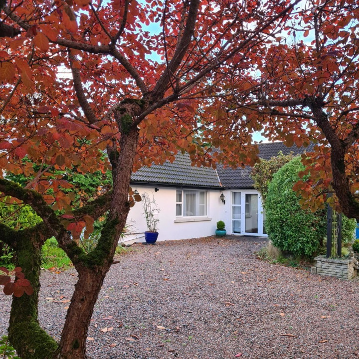 Nara Seaside Retreat - Belfast