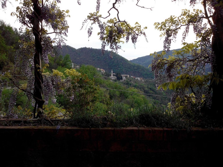 B&b I Glicini - Camogli