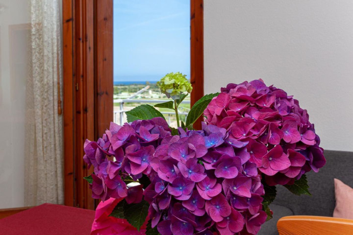 Prenda Home Holiday - Posada