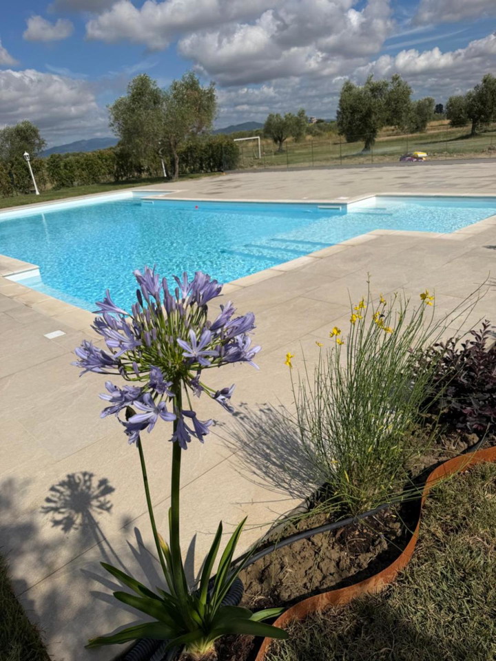 Il Giardino Di Nunzia - Grosseto