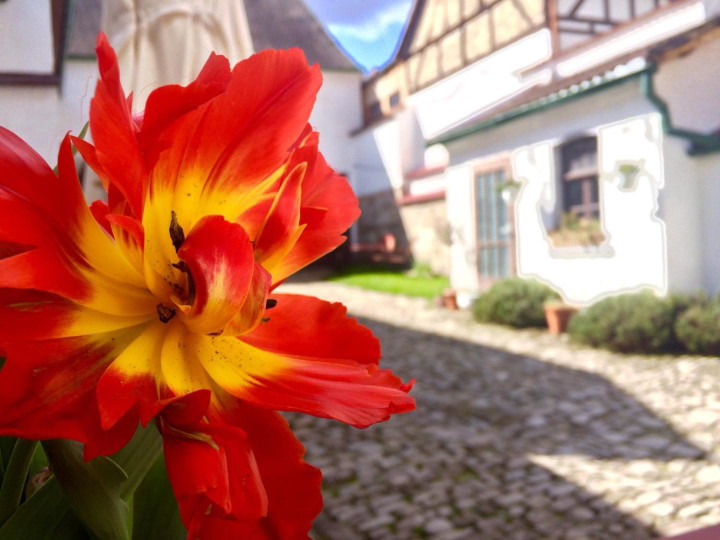 3 Seiten Ferienwohnung - Iéna