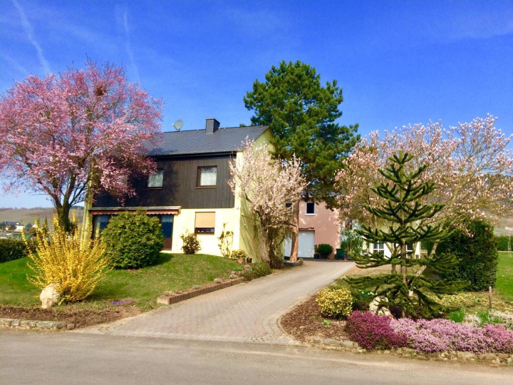 Gästehaus Auler Hof - Traben-Trarbach