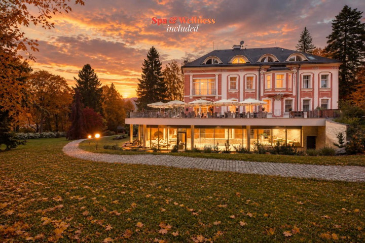 Wellness & Spa Hotel Villa Regenhart - Czechia