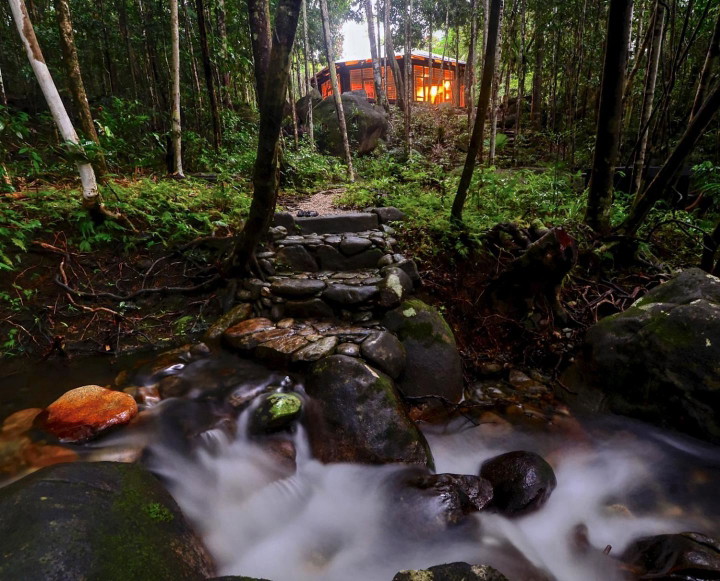 Daintree Cascades - Daintree