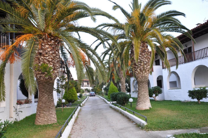 Modern Apartment 100m. From The Sea - Greece