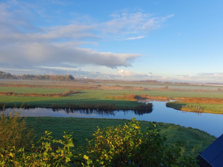 Walvisch Van Ghyspe - Purmerend