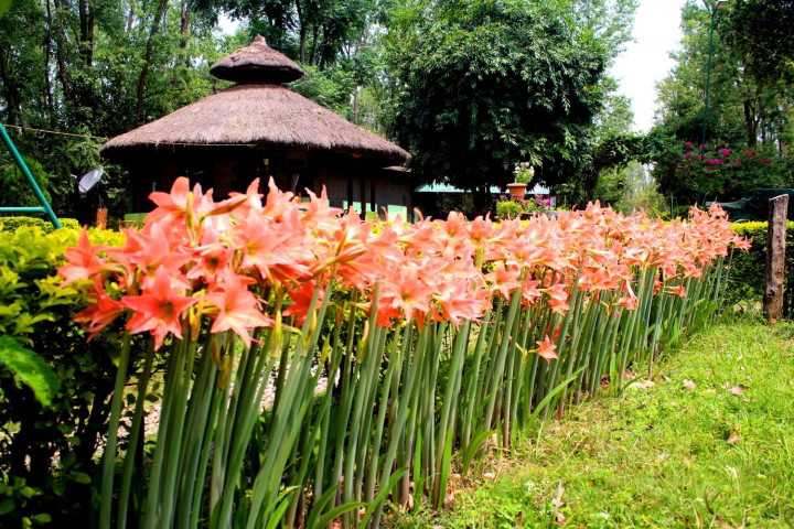 Shuklaphanta Jungle Cottage - Uttarakhand