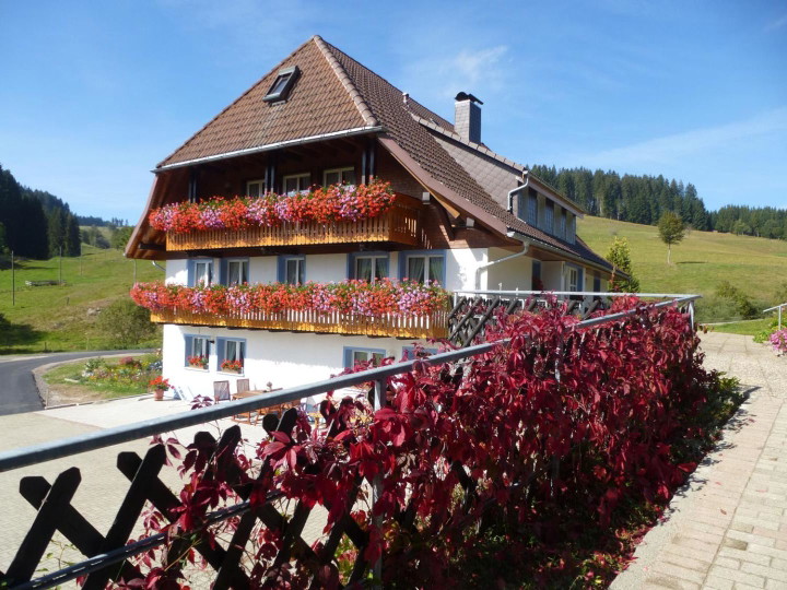 Gästehaus Josenmühle - Feldberg